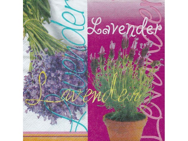Salveta POV32K1_22 - Cveće Lavanda Saksija