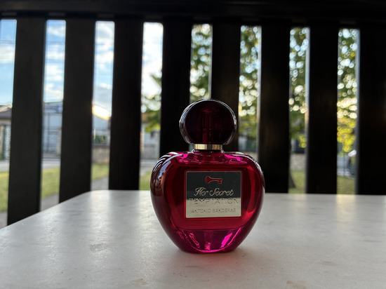 Her Secret Temptation Antonio Banderas