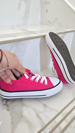 Ciklama sinsay starke 33 broj