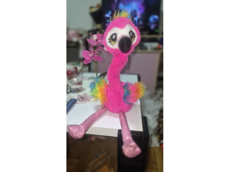 Flamingo