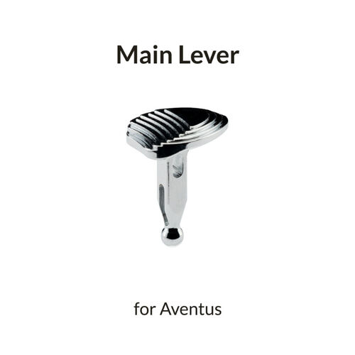 NEW! Gaahleri 47323 Aventus Round Main Lever