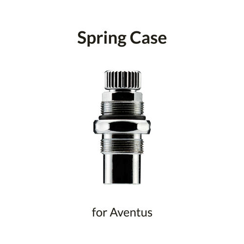 NEW! Gaahleri 47347 Aventus Silver Spring Case