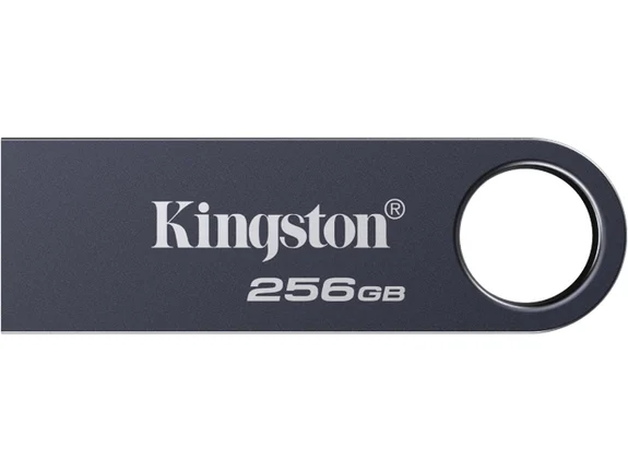 Kingston USB fleš DataTraveler SE9 G3 256GB USB 3.2