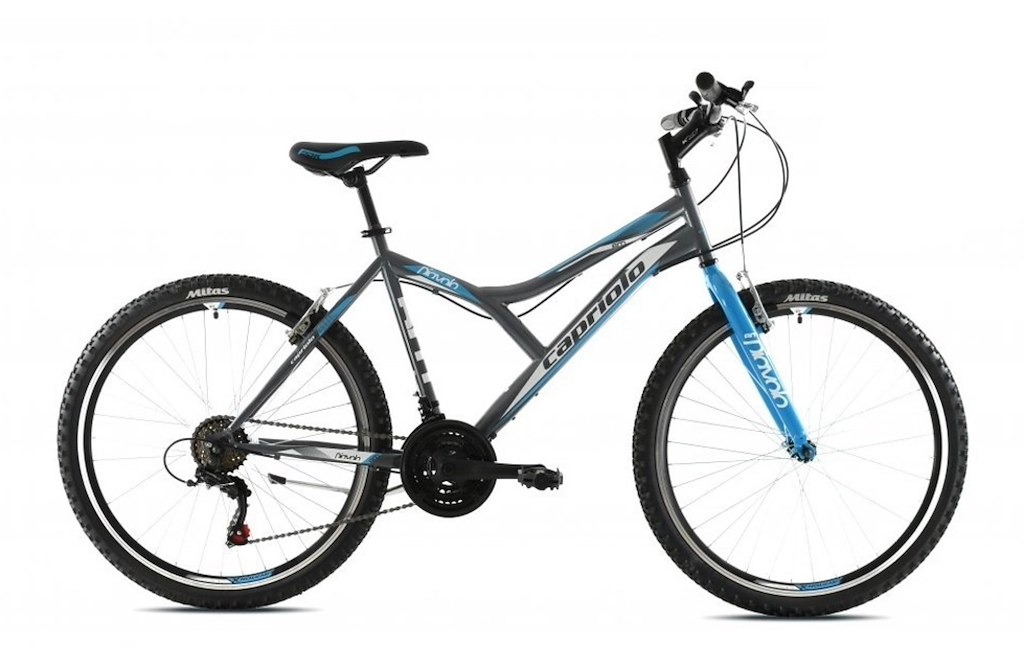 Dečiji bicikl CAPRIOLO DIAVOLO 600/18HT SI-P/19' sivi, Siva, 19'