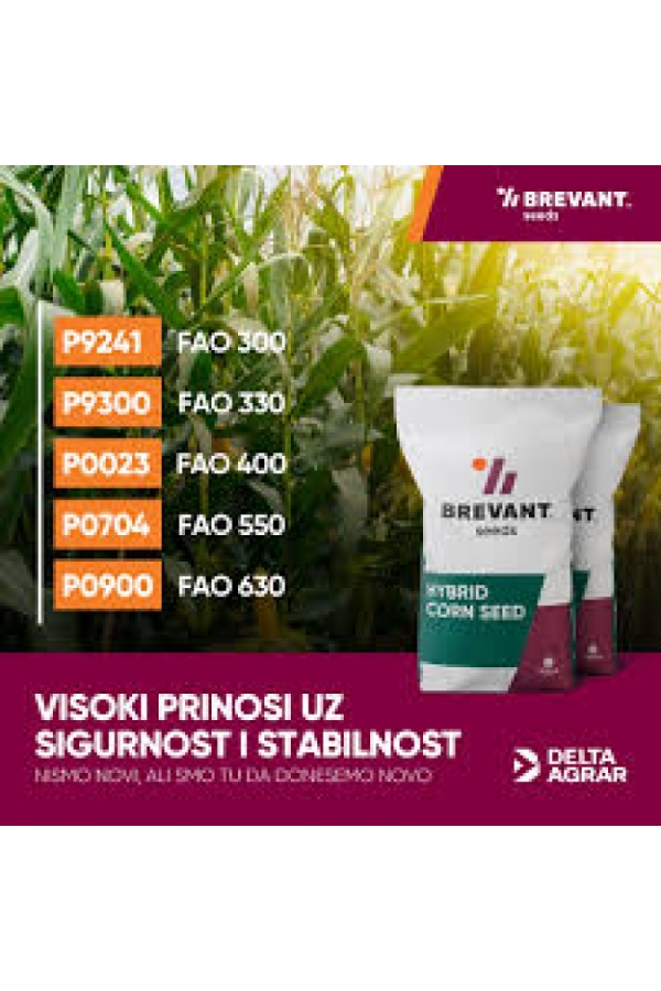 KUKURUZ BREVANT P0900 Vigoris 25000S
Šifra: 1140 JM: SJ