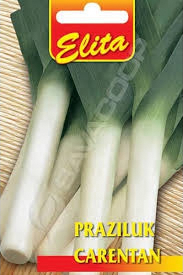 PRAZILUK CARENTAN 2G
Šifra: 423 JM: KOM