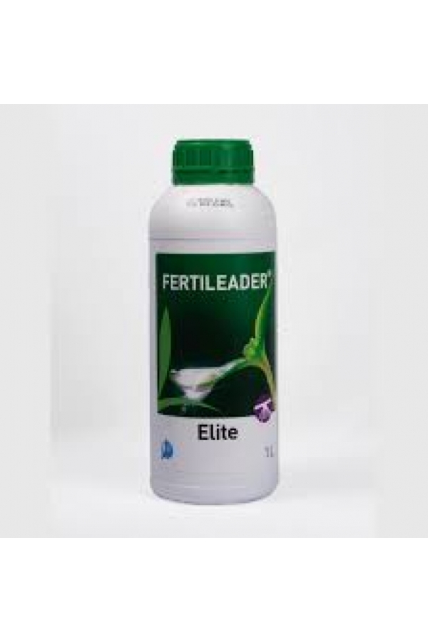 SEACTIV ELITE 1/1
Šifra: 2823 JM: LIT