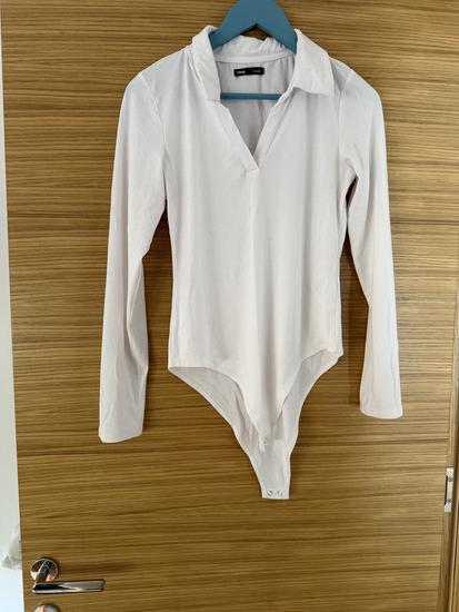 Body