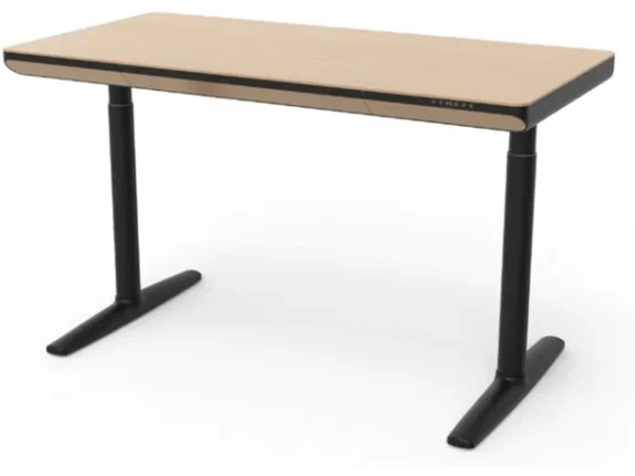 ErgoSto Tea/B sa dva elektomotora