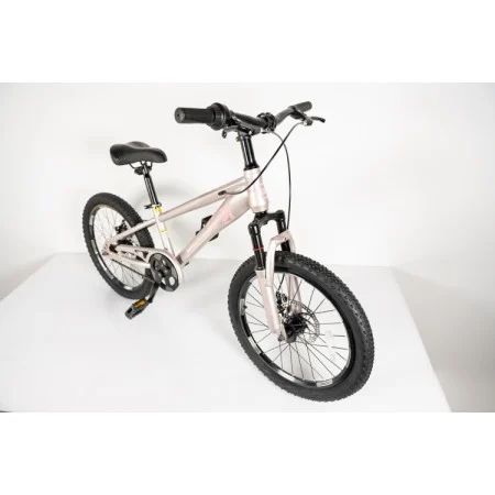 Bicikl za decu 20/1 -tn24q22- champagne/pink ( BCK0408 )