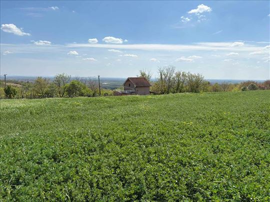 Novi Slankamen građevinsko zemljište 3354m2
