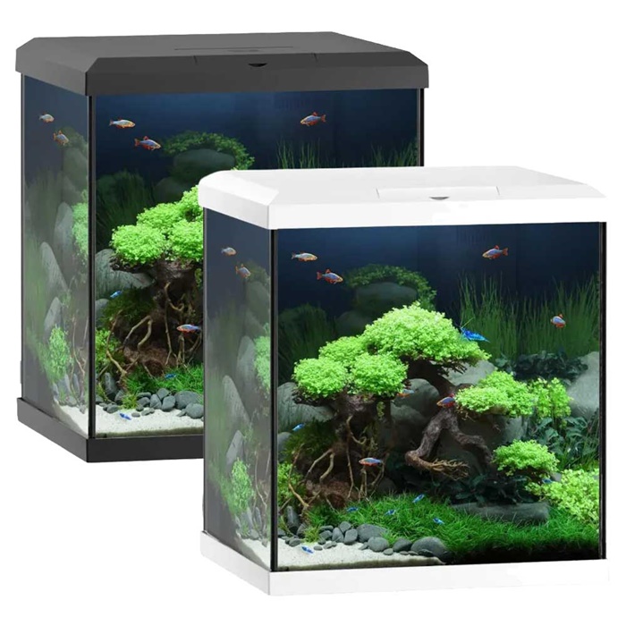 Juwel Vio Cube 54 akvarijum