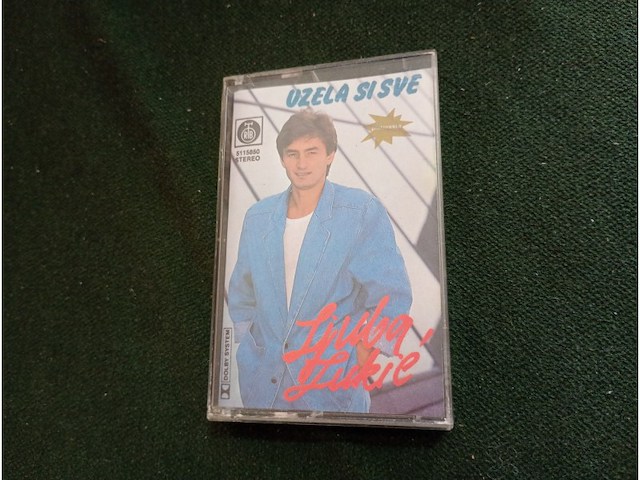 Ljuba Lukić - Uzela si sve