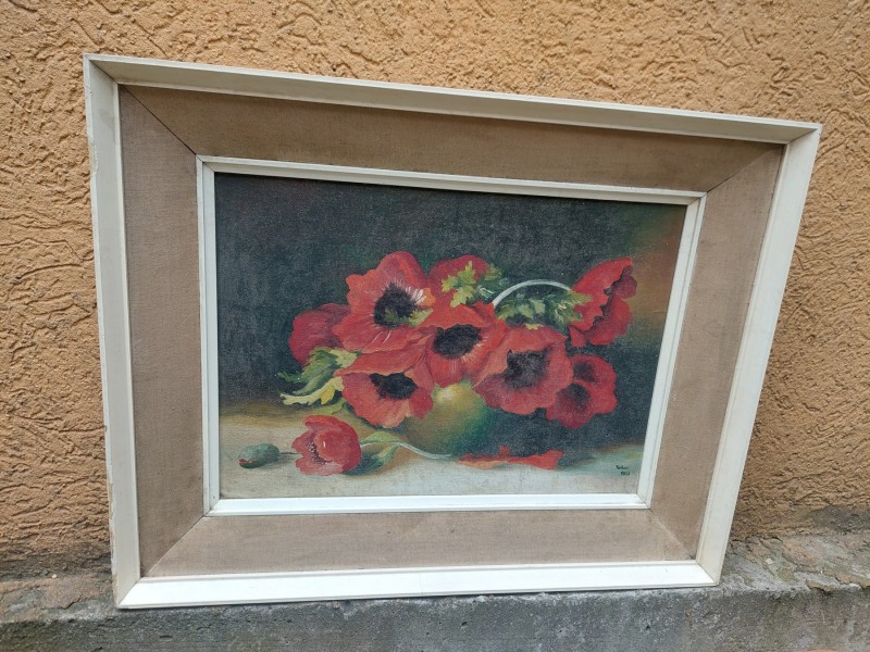 Tabor 1956 godina prelepa slika