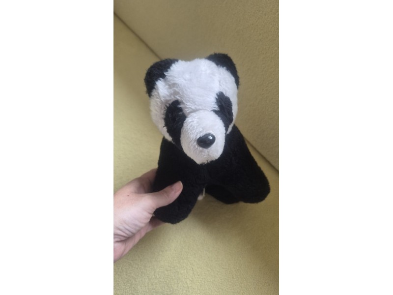 Muzicki Panda