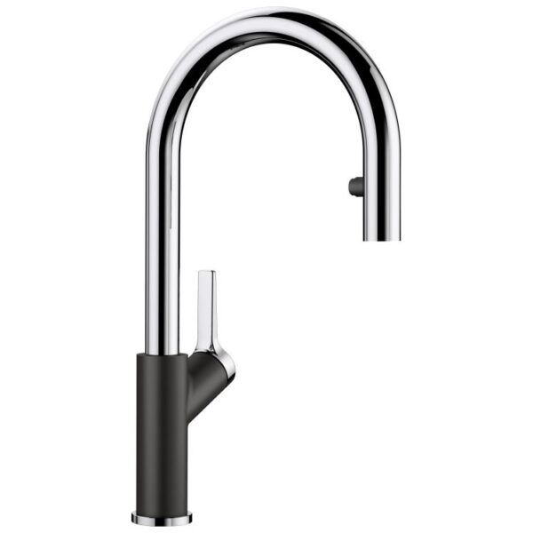BLANCO CARENA-S Vario crna