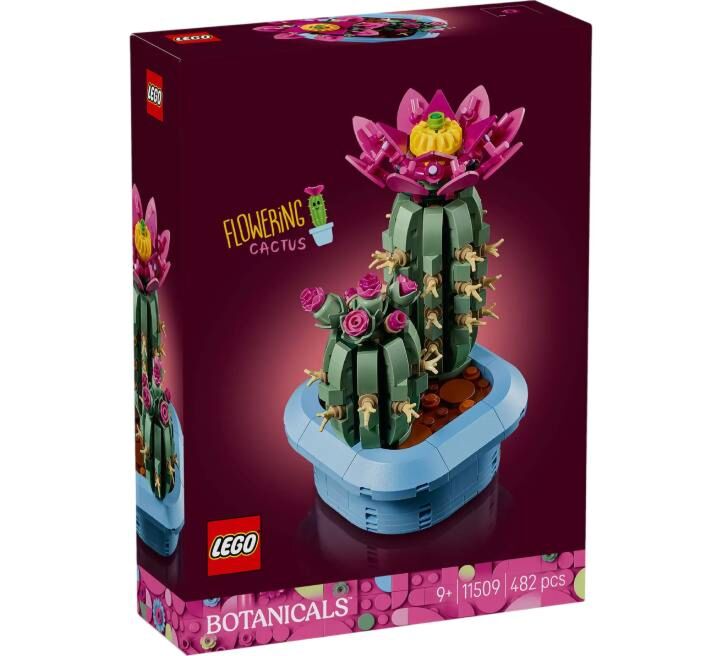 LEGO Kaktus u cvetu LE11509
