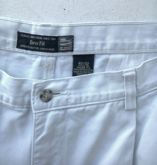pantalone za jesen br 40 i 32 GAP EASY FIT