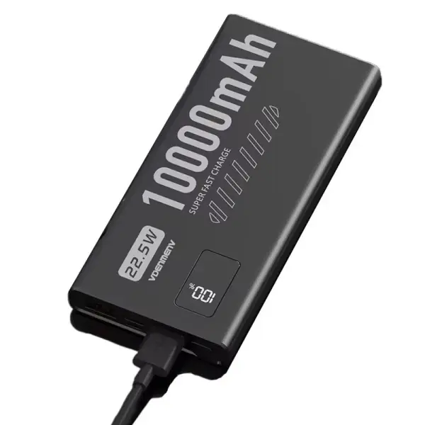Denmen Eksterna baterija DP43, 10000mAh, PD 20W, QC3.0, 2x Type-C, USB-A, Crna