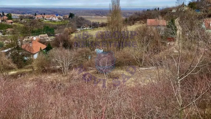 Salaksije, Rakovac