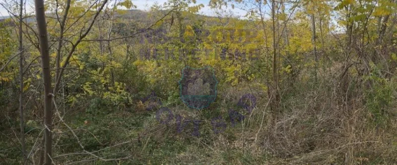 Sviloš, Beočin