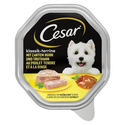 CESAR vlažna hrana za pse – piletina i ćuretina 150g