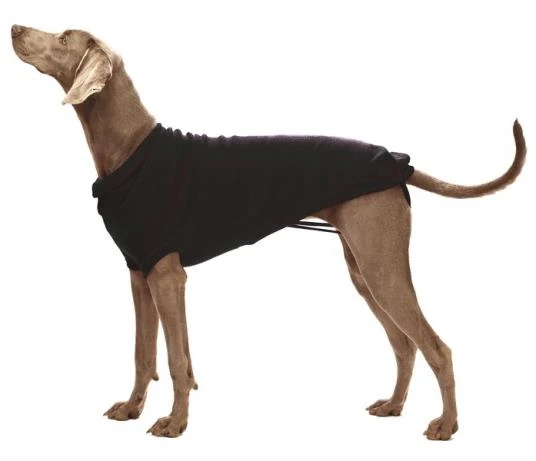 Džemper Siviglia – moderan i elegantan džemper za pse