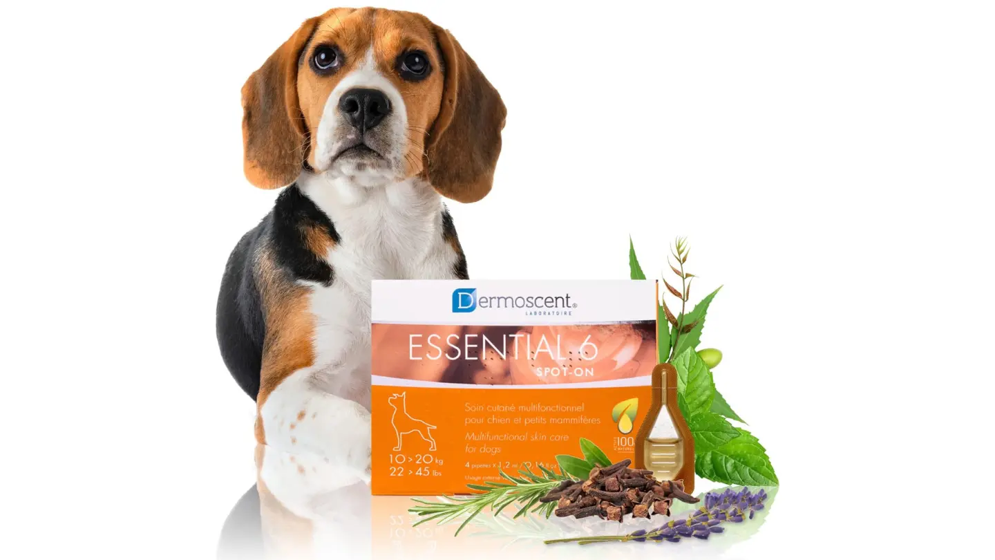 DERMOSCENT Ampula za pse 10-20kg Essential 6 spot-on 1.2ml