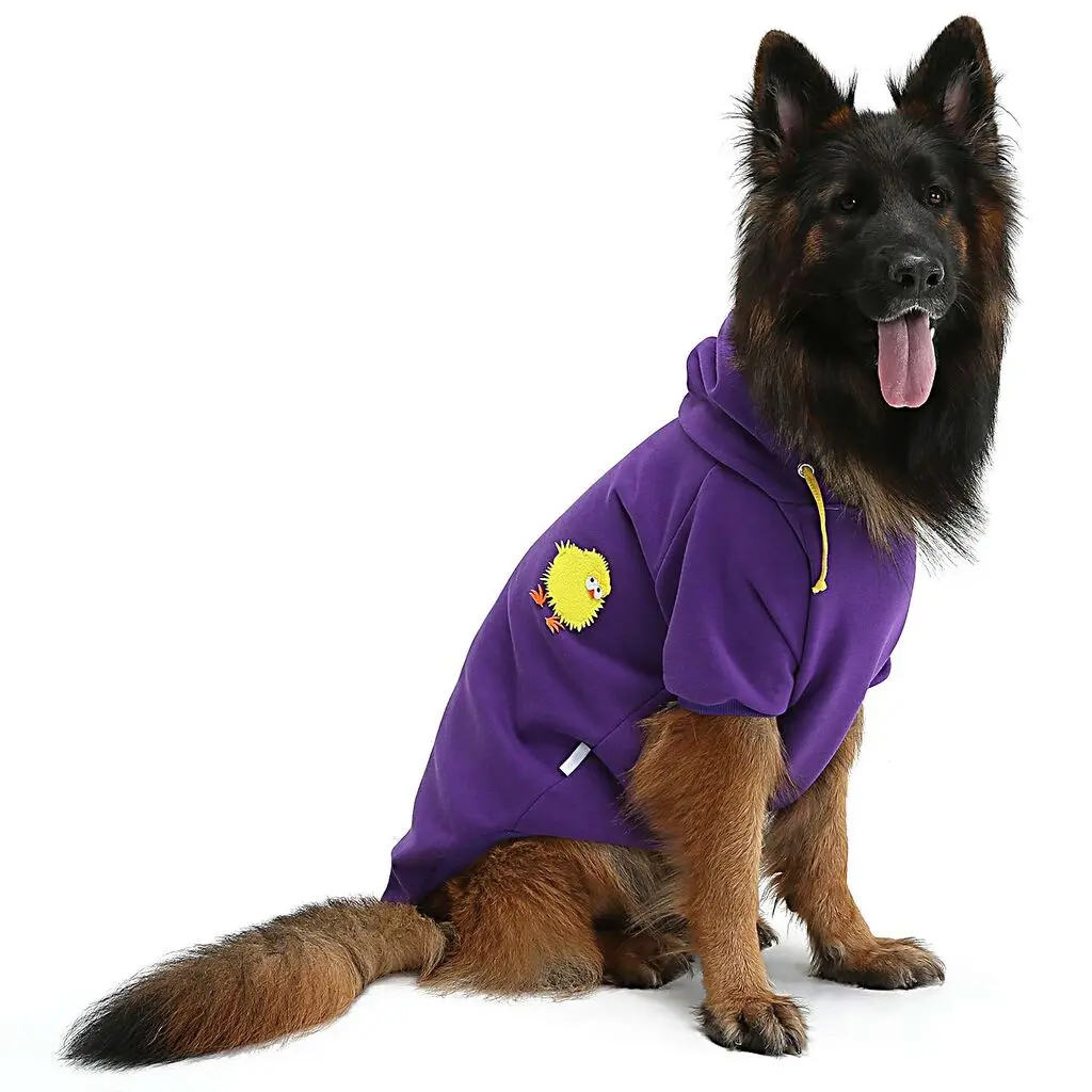 Paws & Whiskers Odelo za pse Purplechicksweat, Ljubičasto
