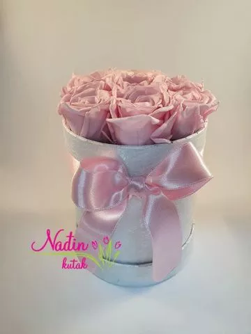 ROZE DEHIDRIRANE RUŽE K160