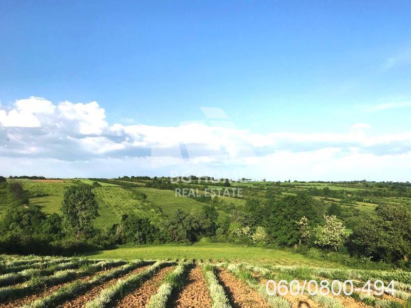 Plac na Kosmaju-Mladenovac-Velika Ivanča ID#3721
15.000 €