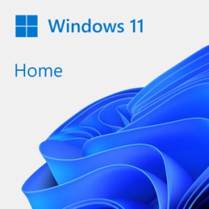 Windows 11 Home 64-bit Eng OEM
