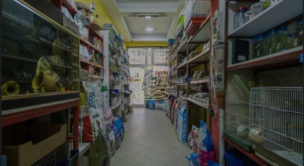 Poslovni prostor / Lokal, Novi Sad | Izdavanje · 33m² · 700€