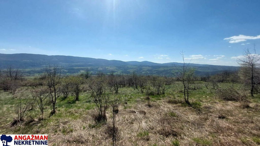 Plac, Boljevac - Krivi Vir | Prodaja · 24960m² · 12.500€