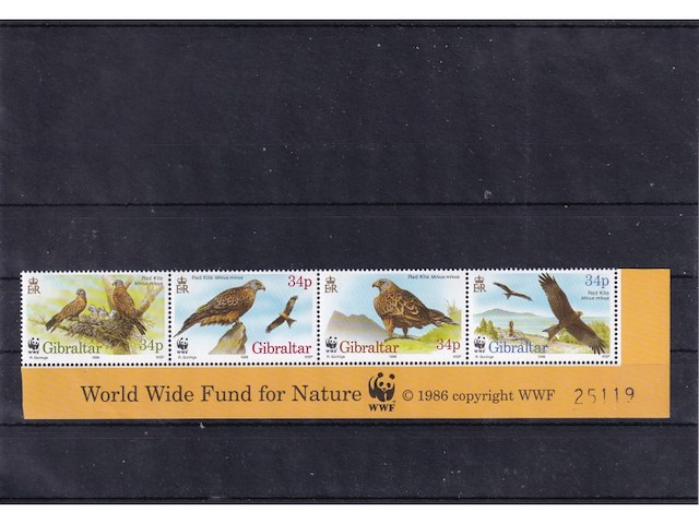 Gibraltar Fauna 1986
