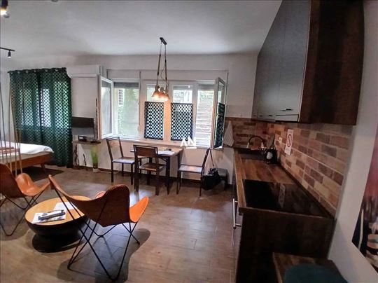 Savski venac, Centar, Gavrila Principa, 36m2 ID#36
