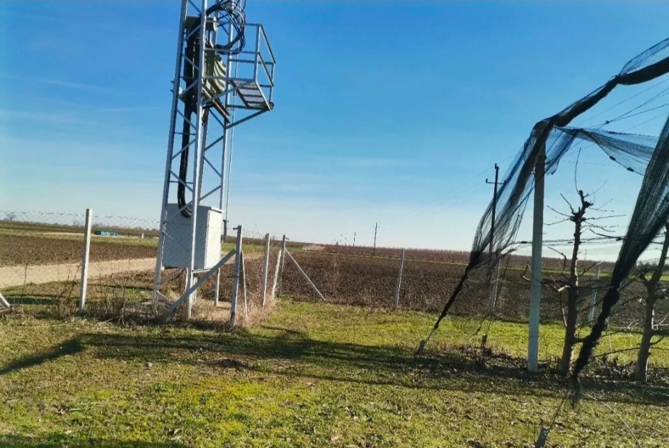 Voćnjak trešnje u punom rodu, 1.5 Ha, Srbobran