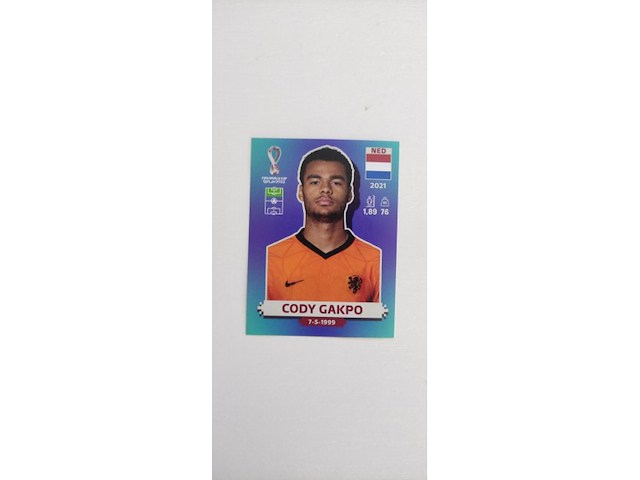Panini FIFA 2022 international Qatar NED 19