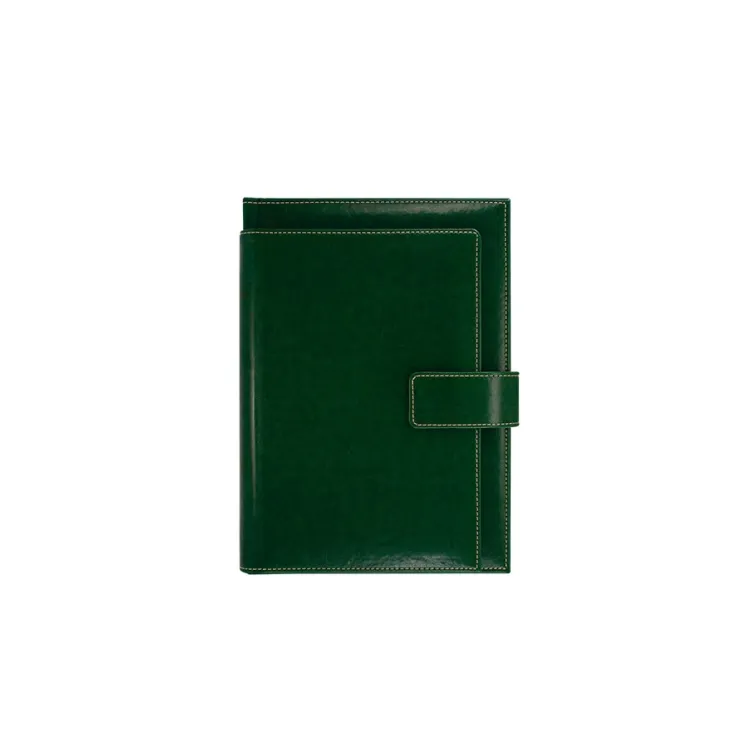 NOVASKIN Agenda B5 EXCLUSIVE - kelly green
