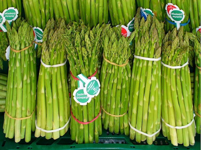 ŠPARGLA `ASPARAGUS OFFICINALIS` - 25 SEMENA
