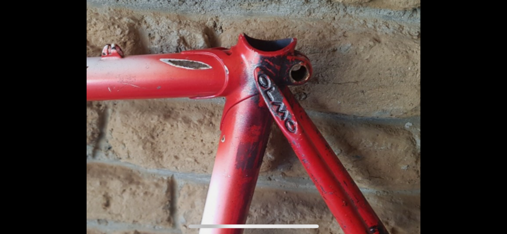 VINTAGE RAMSET OLMO PANTO KULT