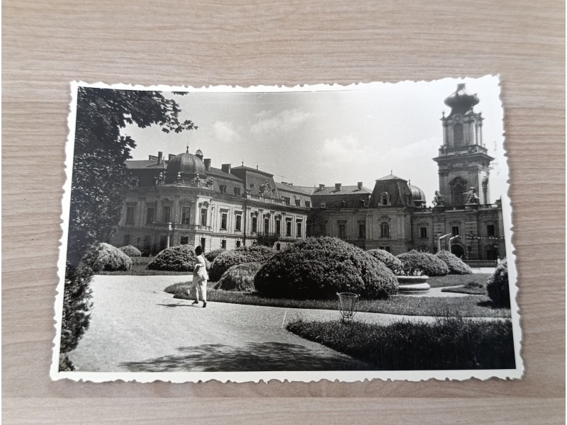 Vintage fotografija dama u igri s loptom