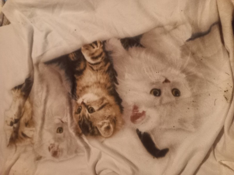 CEBE MACE
