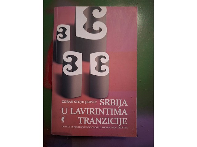 Zoran Stojiljković, Srbija u lavirintima tranzicije