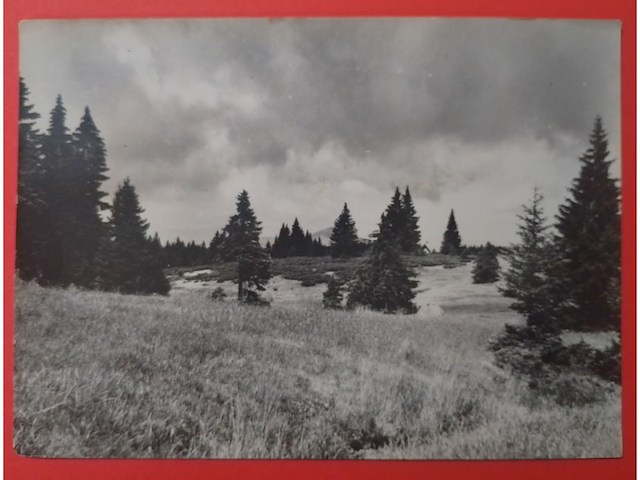 KOPAONIK -VILINE VODE -RAZGLEDNICA