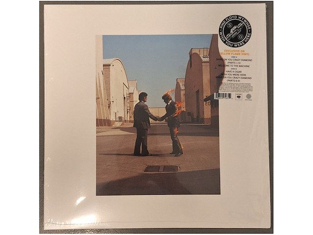 Pink Floyd- Wish you were here(yellow,50th annive,2025,