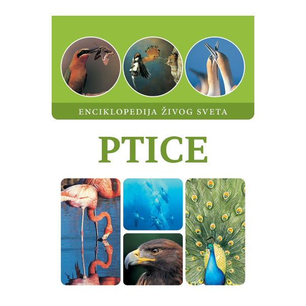 Ptice