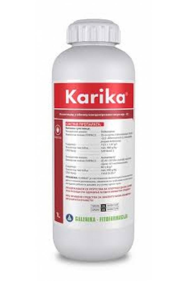 KARIKA 1/1
Šifra: 3195 JM: LIT