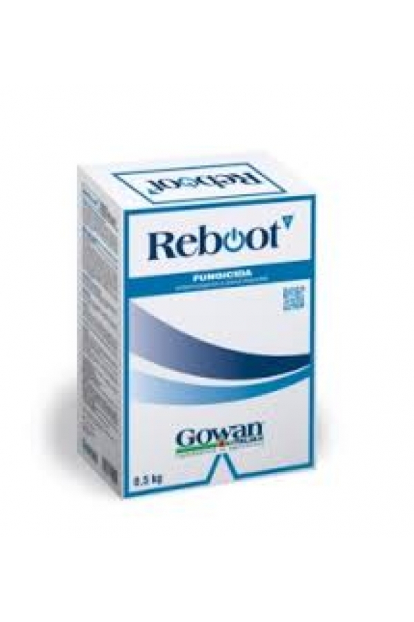 REBOOT RS 6G
Šifra: 1187 JM: KOM