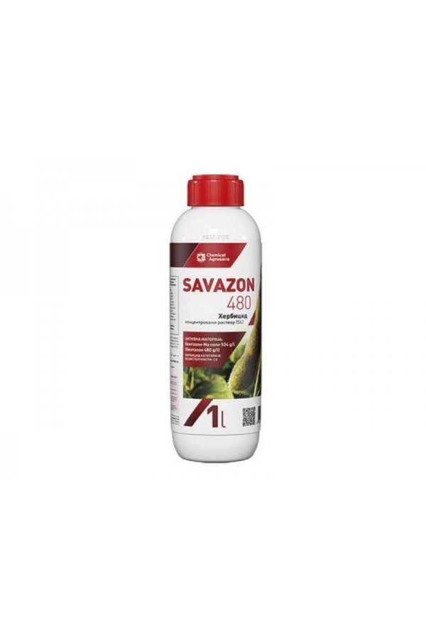SAVAZON 1/1
Šifra: 20 JM: LIT